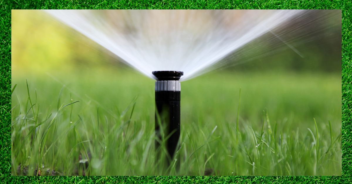 Troubleshooting Common Irrigation Problems: What to Do When Things Go Wrong