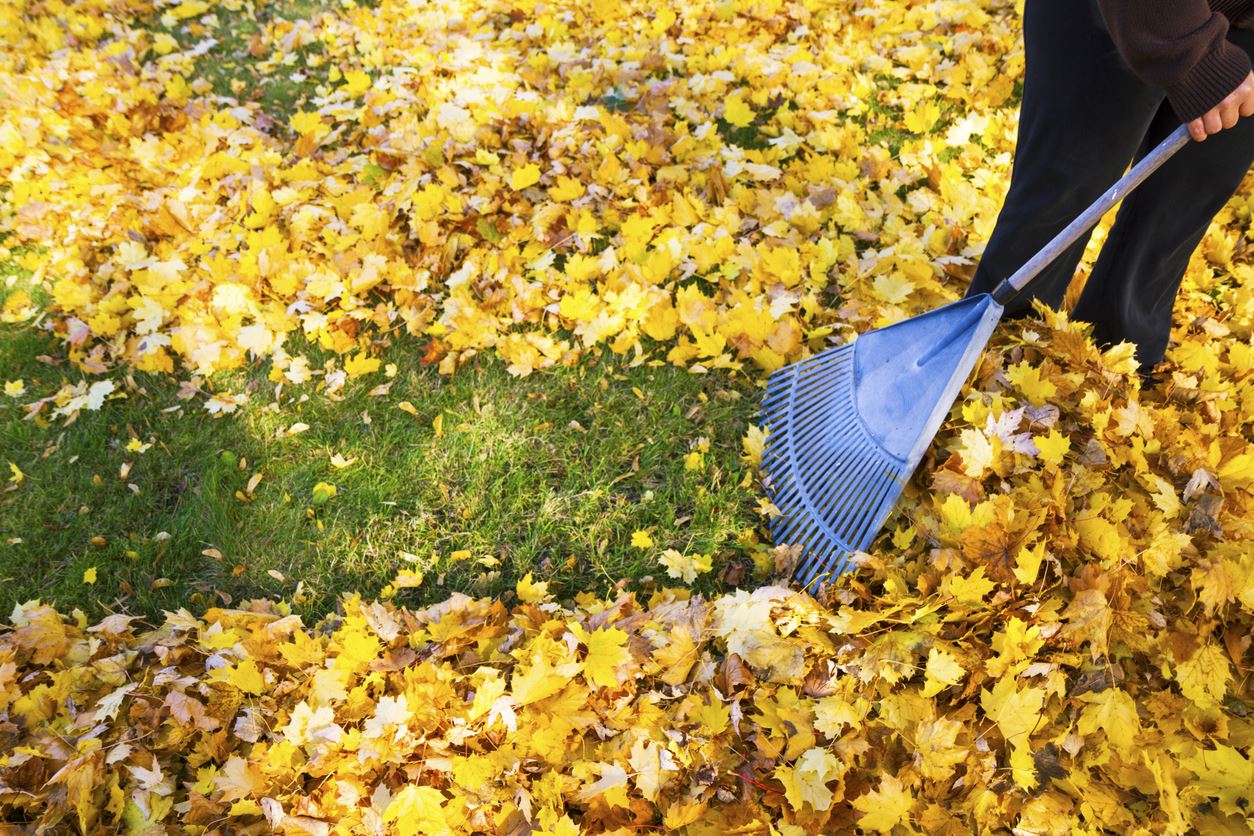 Prepare Your Yard for Fall