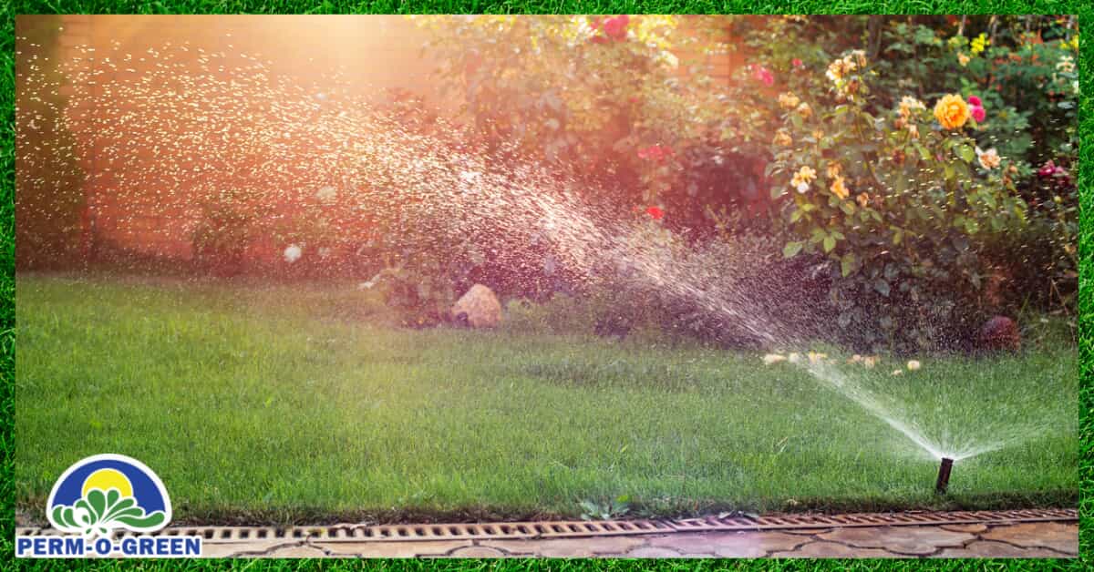 Irrigation 101: A Beginner's Guide to Watering Systems